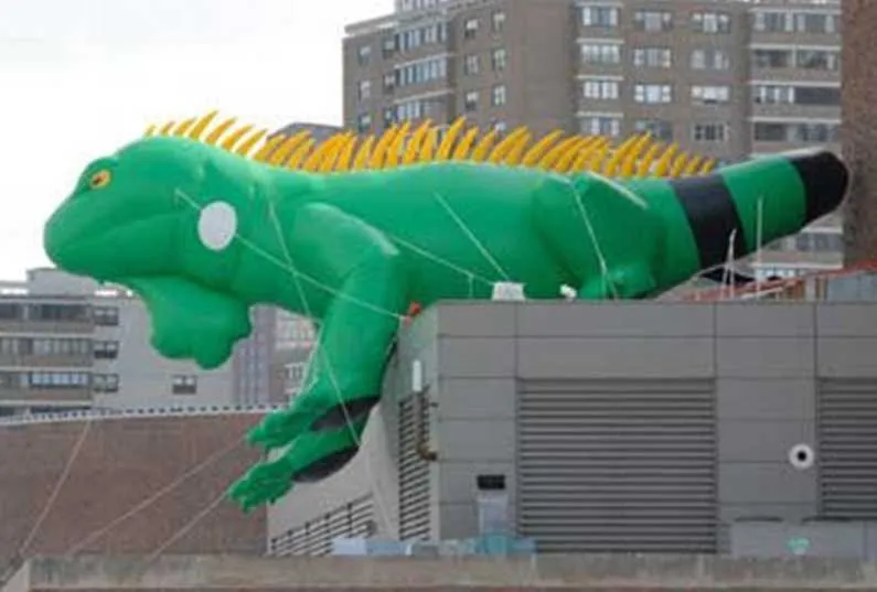 Giant Green Inflatable Lizard - Zoo Decoration, Event Promotion ...