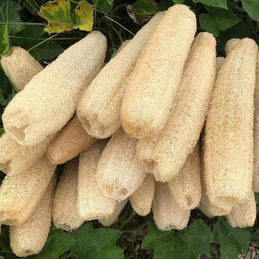 Natural Organic Loofah Sponges Large Kitchen Cleaning Brushes And Body ...