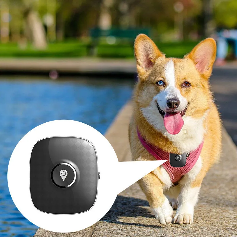 DHgate.com:4G Dog GPS Tracker Collar - Waterproof Pet Anti-lost Device ...