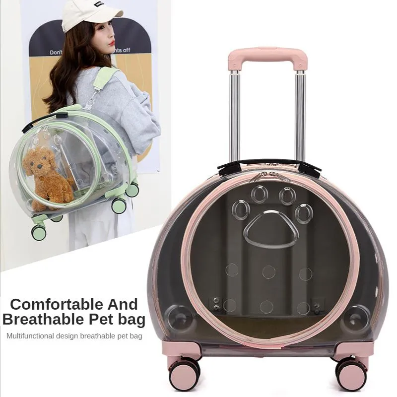 Portable Transparent Pet Carrier Trolley With Pull Rod, Air Box, And ...