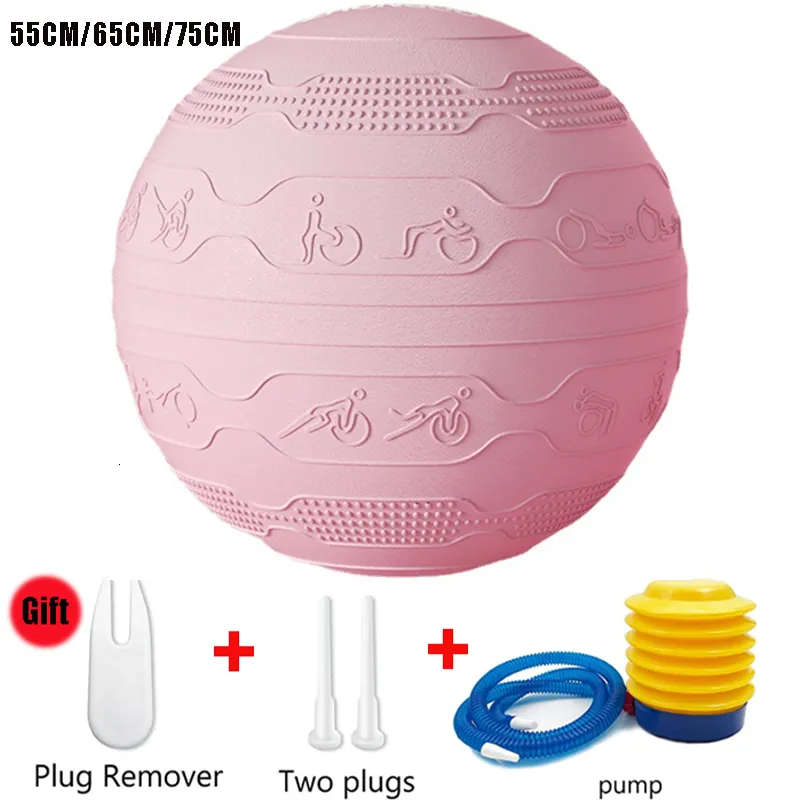 Yoga Ball 55/65/75cm, PVC Anti-Burst Fitness Ball, Yoga Balance Ball ...