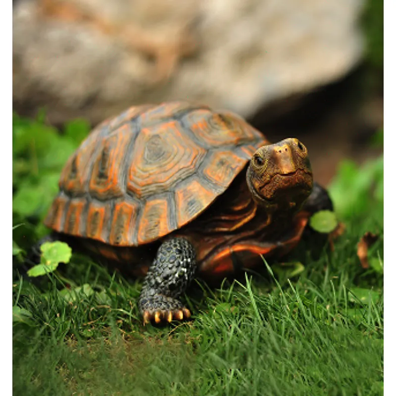 DHgate.com:Garden Decorations Cute Resin Tortoise Statue Outdoor Garden ...