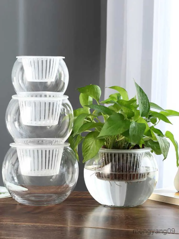 Planters Pots Creative Water Planting Bottle Plant Transparent Glass ...