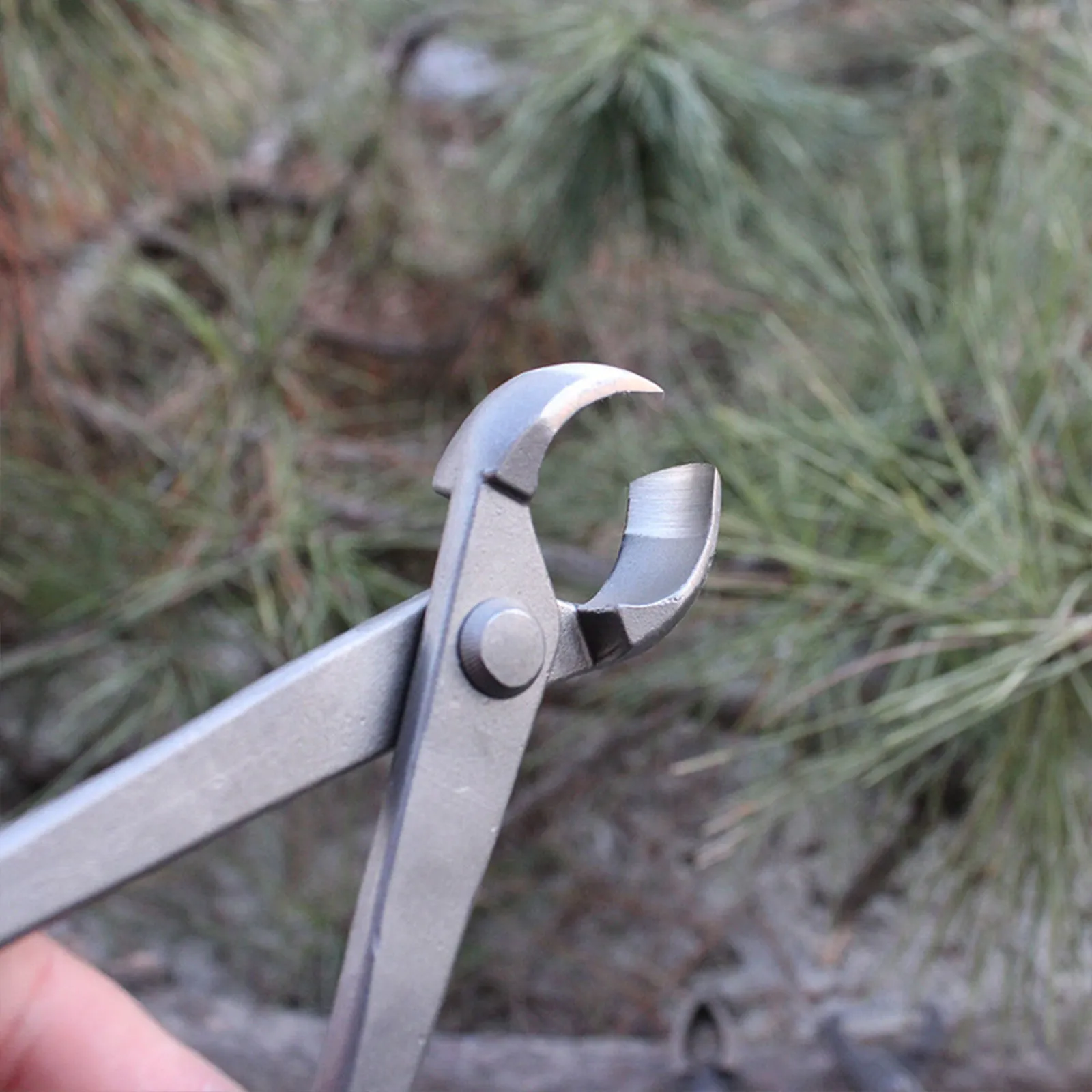 Bonsai Pruning Tools: Precision Knob & Root Cutter Set - Premium Quality! Shop Now! from Dhgate ...