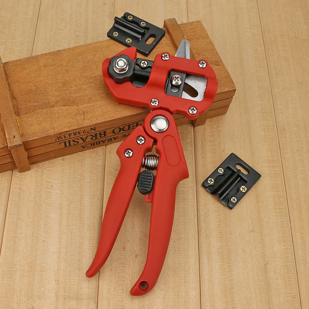 Precision Pruning Shears: Professional Garden Scissors for Floristry ...