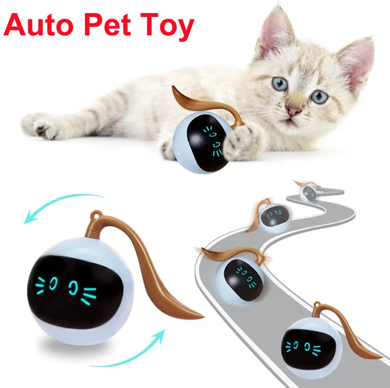 DHgate.com:USB Rechargeable Cat Ball Toy - Interactive LED Smart Pet ...
