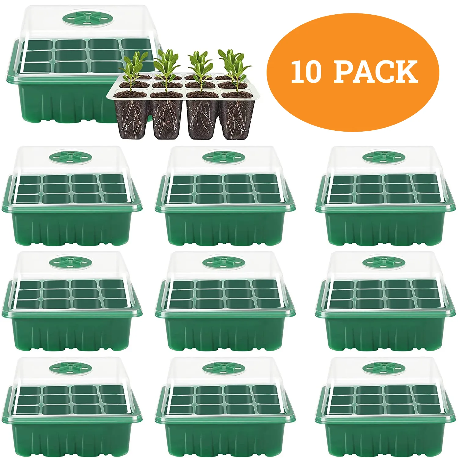 Seed Starter Kit - 6/12 Cell Plant Starter Pots with Dome & Base ...
