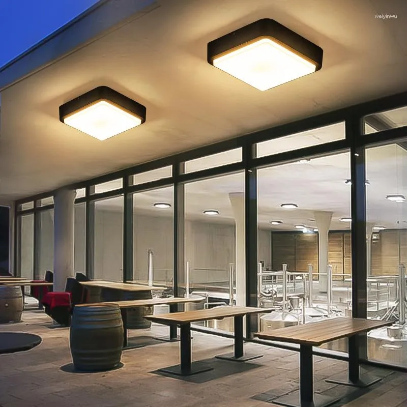 Weatherproof Outdoor Ceiling Lights | Shelly Lighting