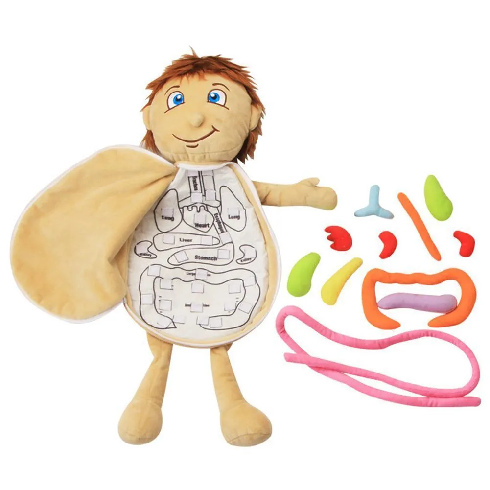 Dolls For Infants Anatomically Correct Soft Plush Doll With Removable ...