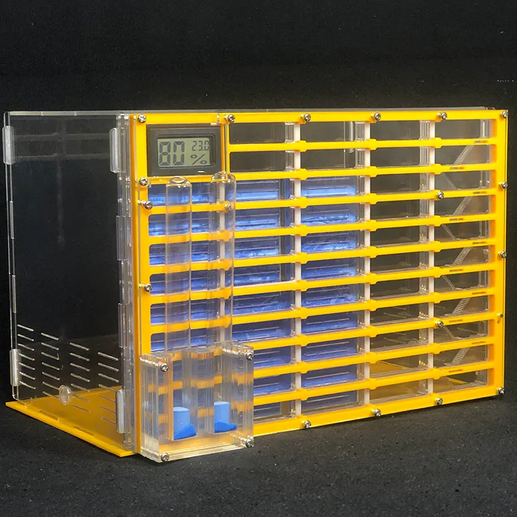 Largest Ant Farm Habitat