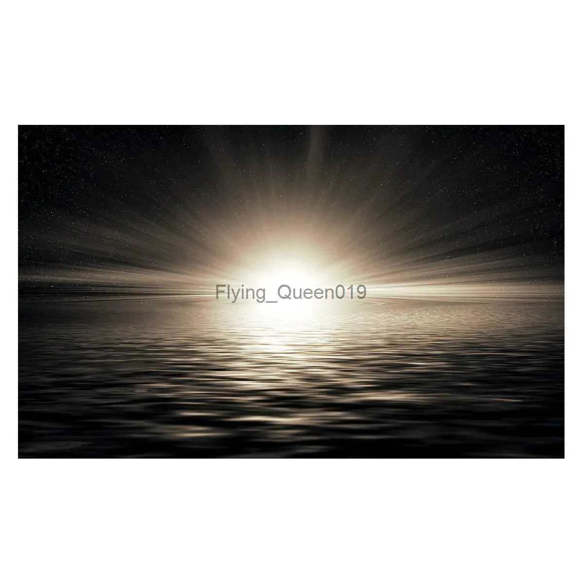 Sunrise & Sea Photography Backdrop - Vinyl Photo Studio Background ...