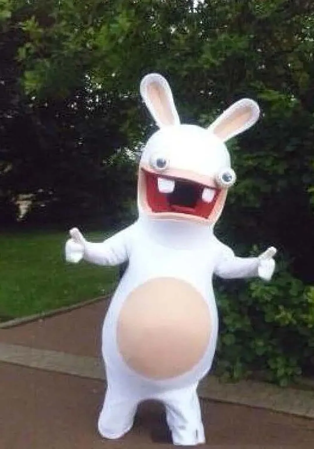 Adult Size Halloween Rayman Raving Rabbids Mascot Costumes for Fancy ...