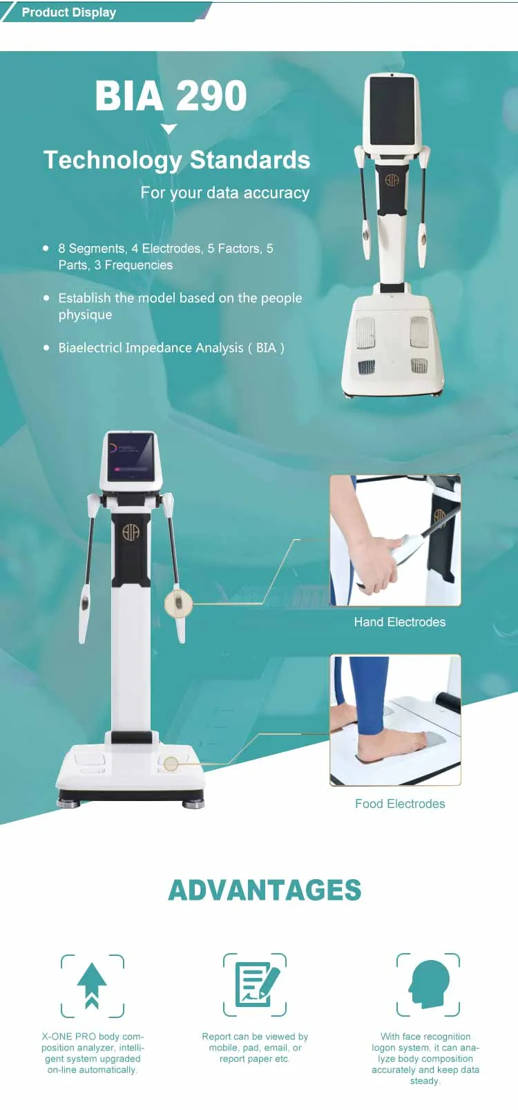 2026 BIA 290 MFBIA Body Composition Analyzer with 4 Electrodes for ...