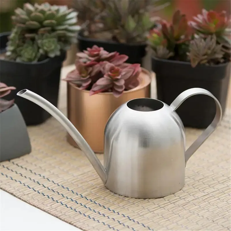 Small Stainless Steel Watering Can - 500ml Mini Flower Kettle for ...