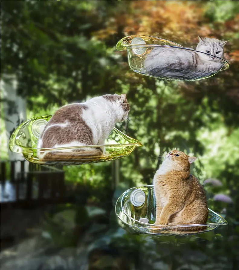 Cat Hammocks: Transparent Window Perch For Cats Suspended Bed With ...