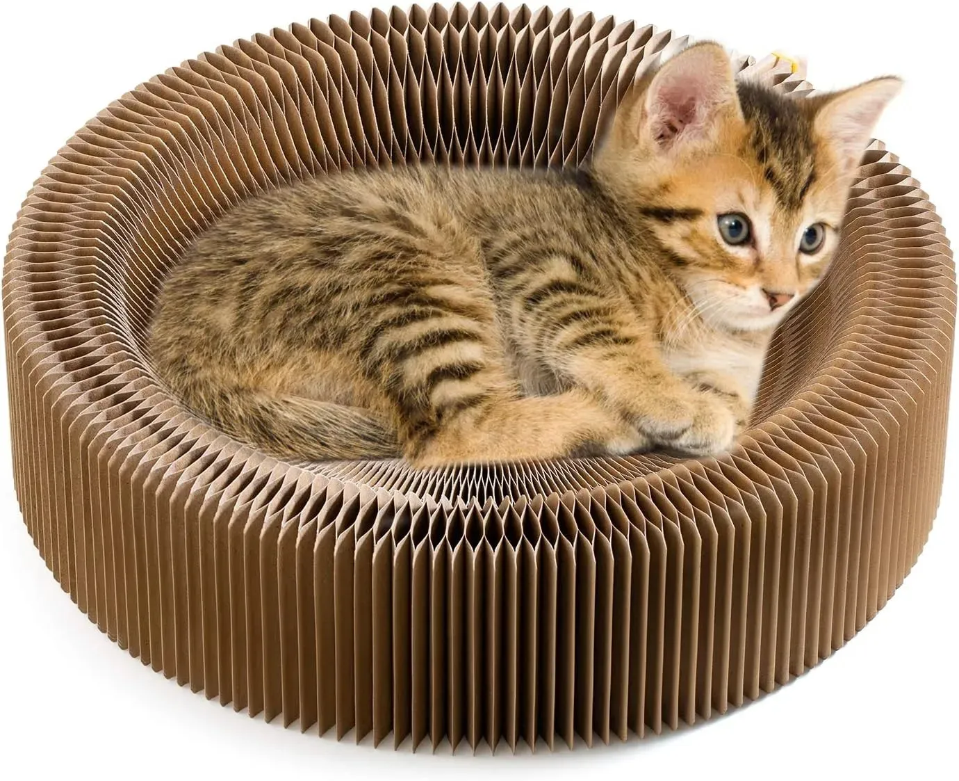Cardboard Cat Scratcher Lounge Bed Round Scratching Board Nest For ...
