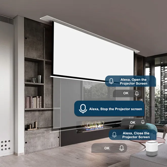 Concealed In Ceiling 150 Electric Tab Tensioned Projector Screen For ...