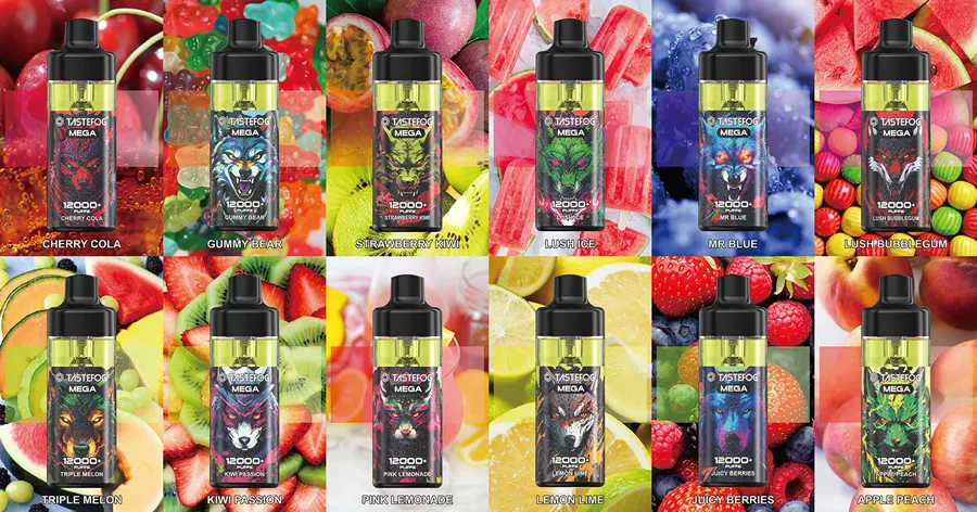 Original Tastefog Mega Puff 12000 Disposable Vape Wholesale Disposable ...