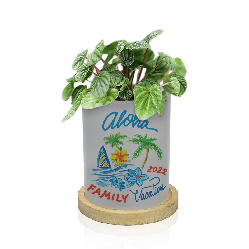 Transparent Flower Pots: Clear Glass Planters With Bamboo Base Ideal ...