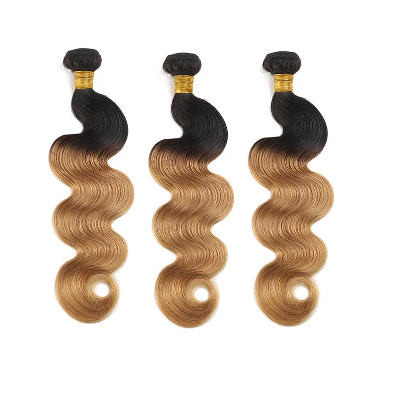 100% Brazilian Body Wave Hair Extensions Extensions Body Wave Double ...