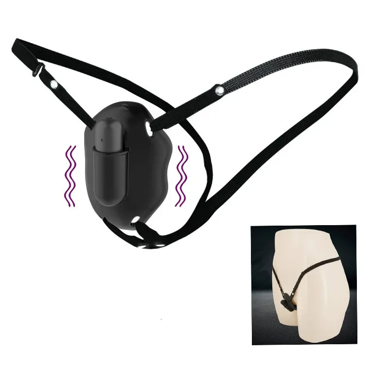 Wearable Clitoral Stimulator Butterfly Vibrating Panties With