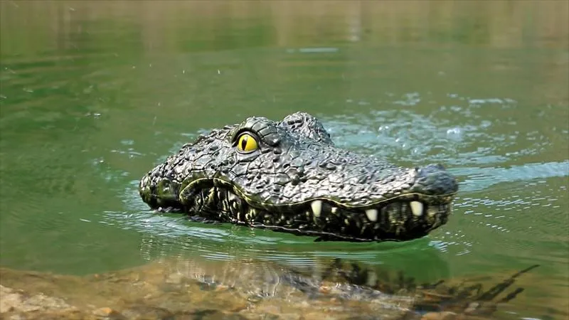 ElectricRC Alligator RC Boats Remote Control... From Kuo08, $30.93 ...