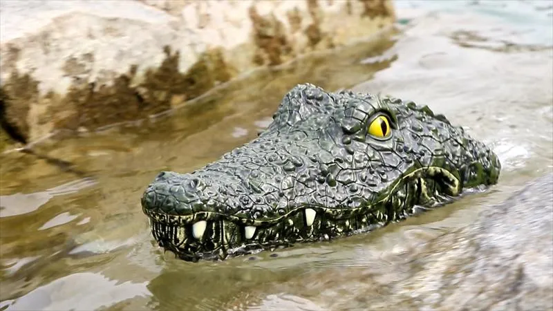ElectricRC Alligator RC Boats Remote Control... From Kuo08, $30.93 ...