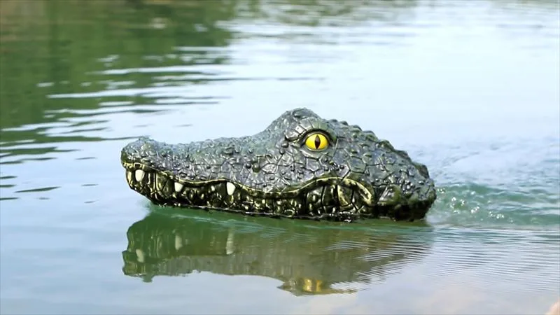 ElectricRC Alligator RC Boats Remote Control... From Kuo08, $30.93 ...