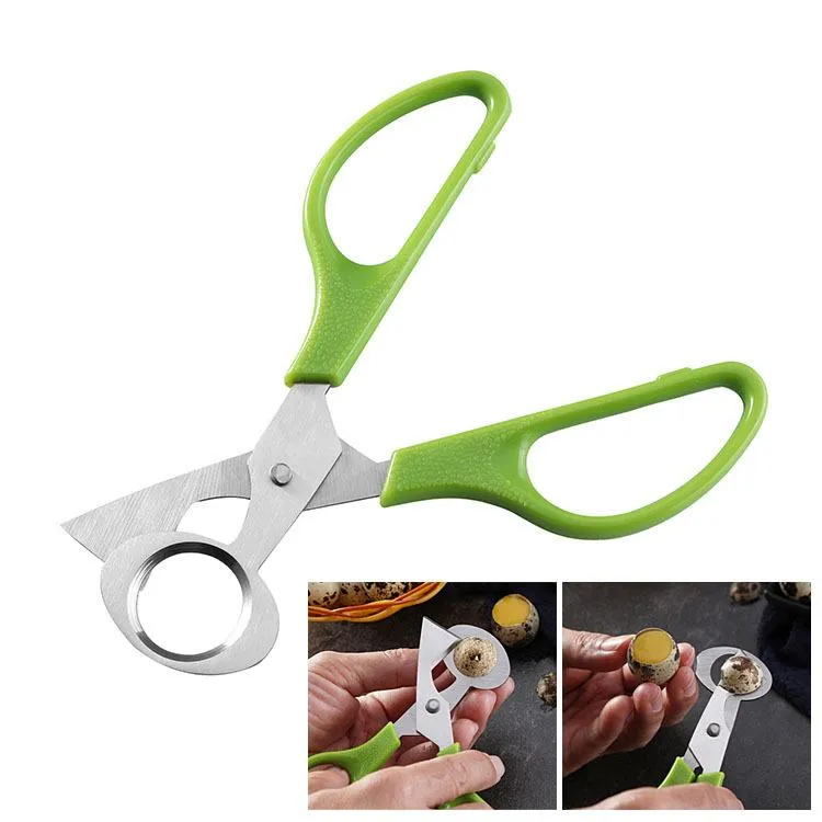 Stainless Steel Egg Opener Webmaster Tools Quail Scissors Cutter For ...