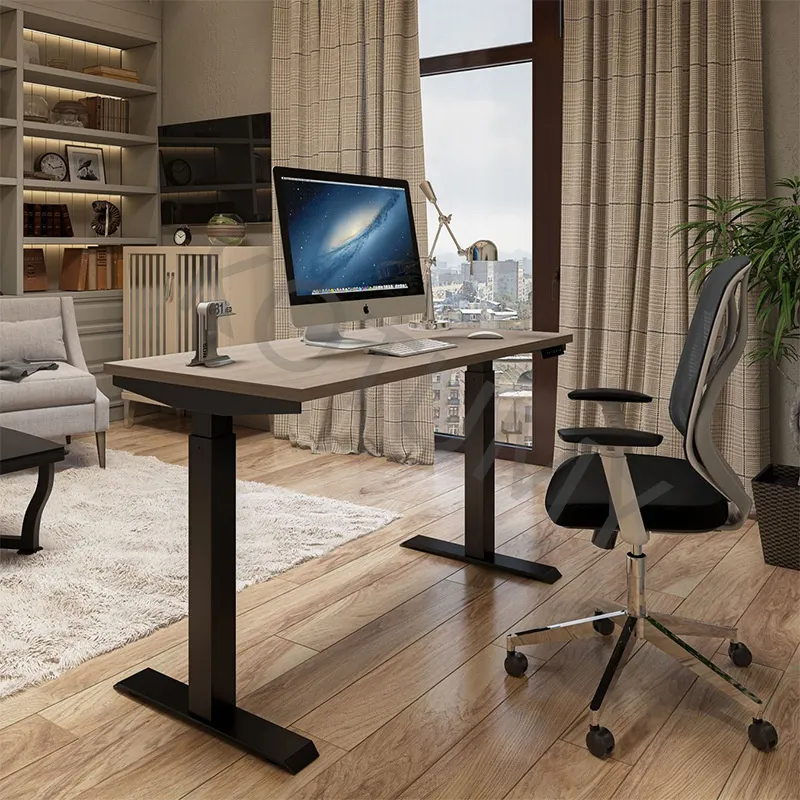Height Adjustable Electric Standing Desk with Double Motor Storage Lockers