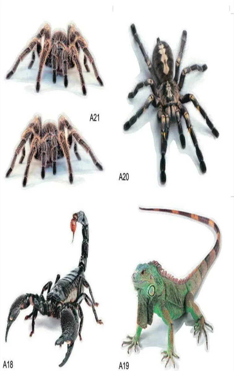 Adesivos De Carro Novos Adesivos De Simula o De Gecko De Gecko 3D De adesivos-de-carro-novos-adesivos-de-simula-o-de-gecko-de-gecko-3d-de