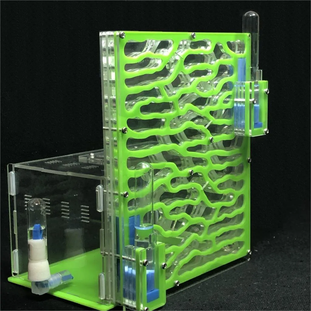 Fancy Ant Farms