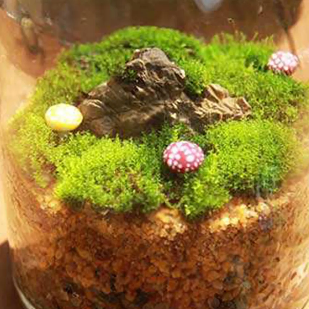 Garden Decorations Natural Moss Accessories Living Moss Cushions For ...