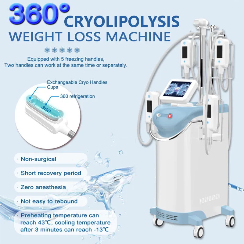 Slimming Machine - Mini Cryolipolysis Fat Freeze Machine with Fat ...