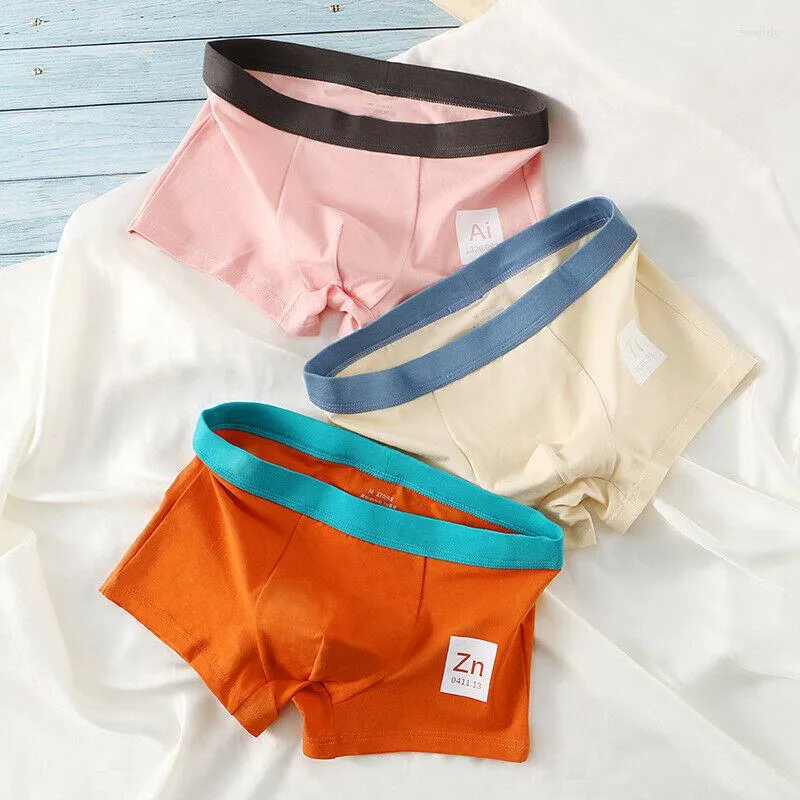 Pure Cotton Boxer Underpants For Elderly For Men With Comfortable ...