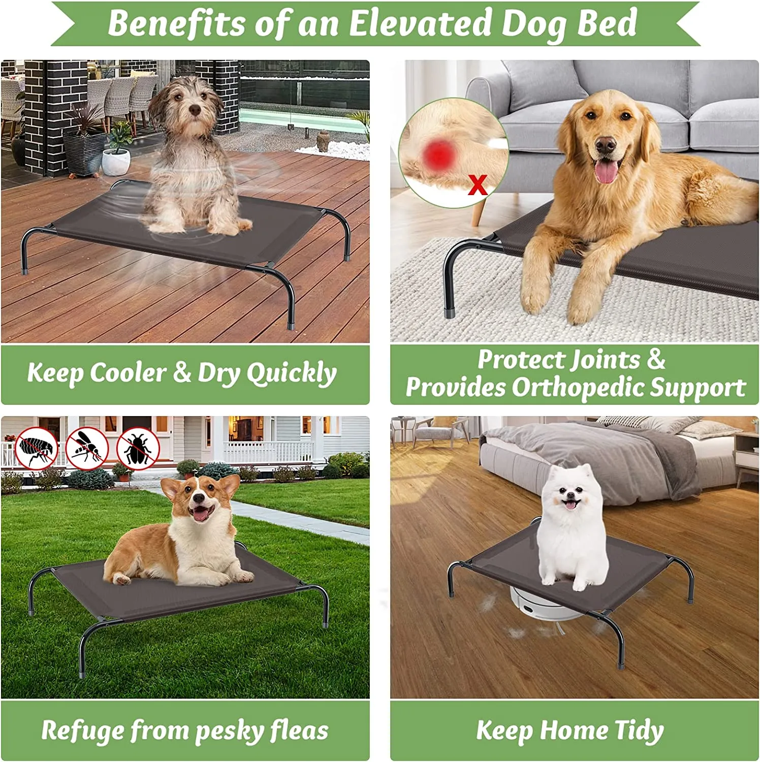 Portable Coog Elevated Amazon Elevated Dog Bed With Washable ...