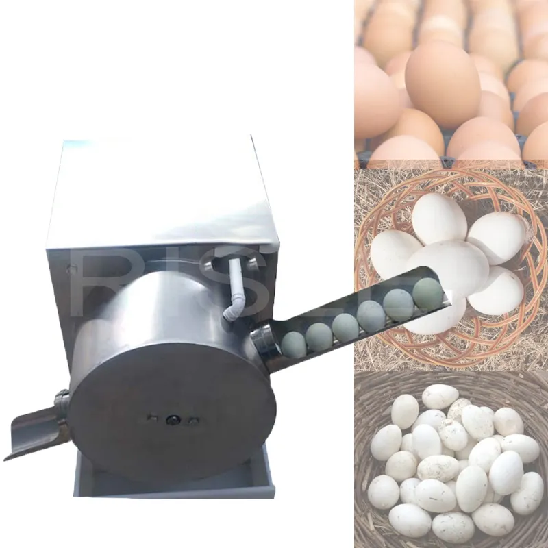 Commercial Egg Washing Machine Water Circulation Washing Single Row ...