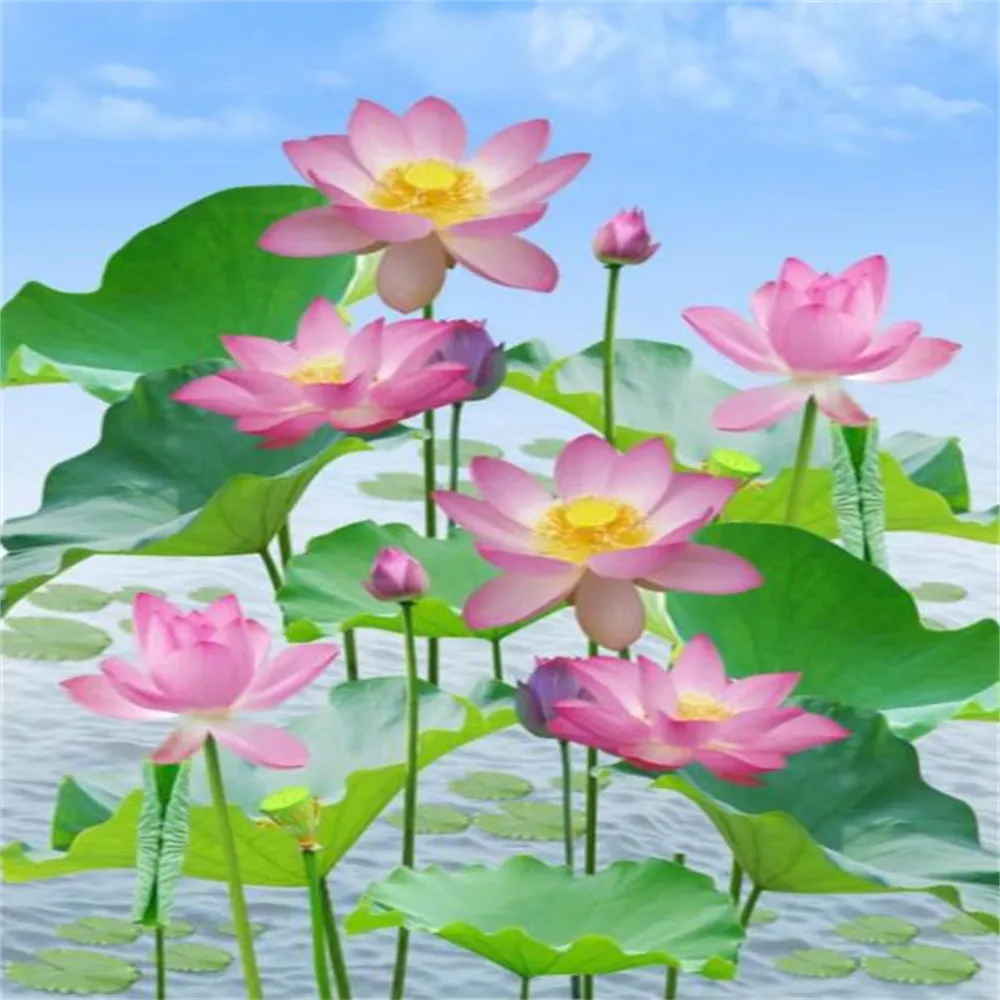 DHgate.com:3D Silver Carp Pond Mural Wallpaper | Beautiful Nature Scene ...