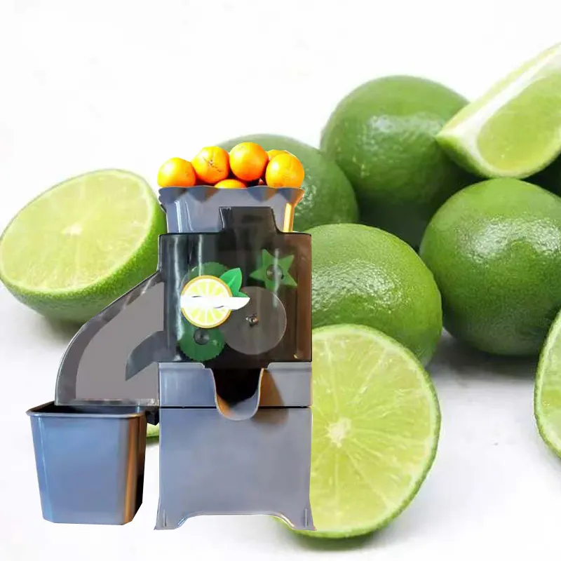 Electric Commercial Orange And Lemon Fruit Squeezer Juicer From Jjshoo ...
