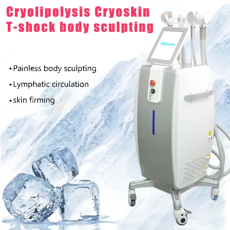 Cryoskin T Shock 5-in-1 Cryotherapy Thermal Fat Freezing and Thermal ...