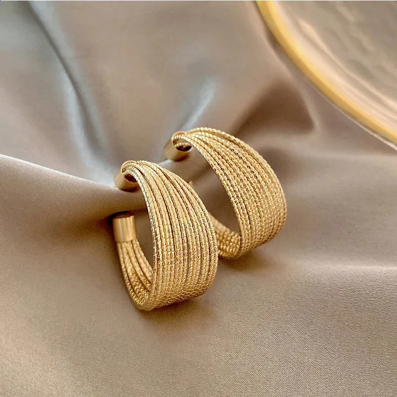 Exaggerated Geometry Multilayered Lines Big Hoop Earrings for Women ...