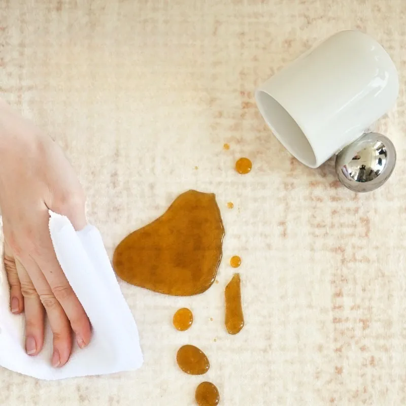 Carpet for Living Room, New Bedroom, or Bedside: Disposable Wipe, Dirt ...