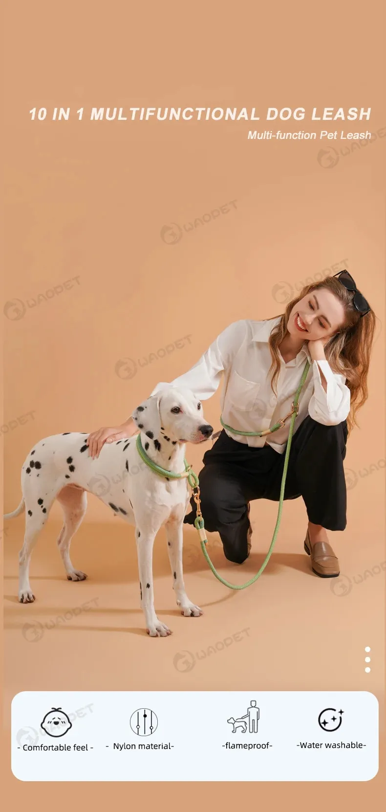 Handsfree Dogs Lead Rope Multifunction Pet Leash for Small, Medium, and ...