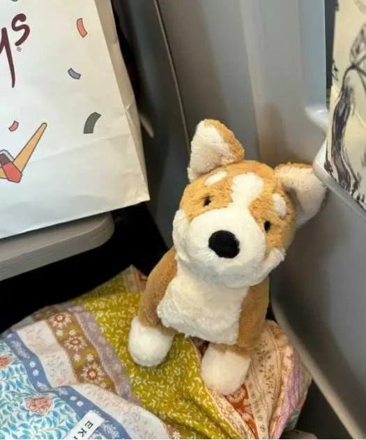 Plush Keychains JC Domestic Designer Betty Little Corgi Dog Pendant ...