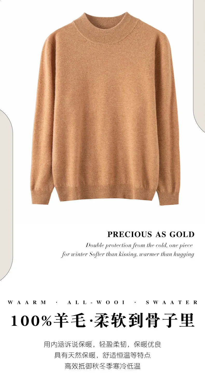 Fashion Men's 100% Wool Pullover Half-High Collar Sweater: Autumn ...