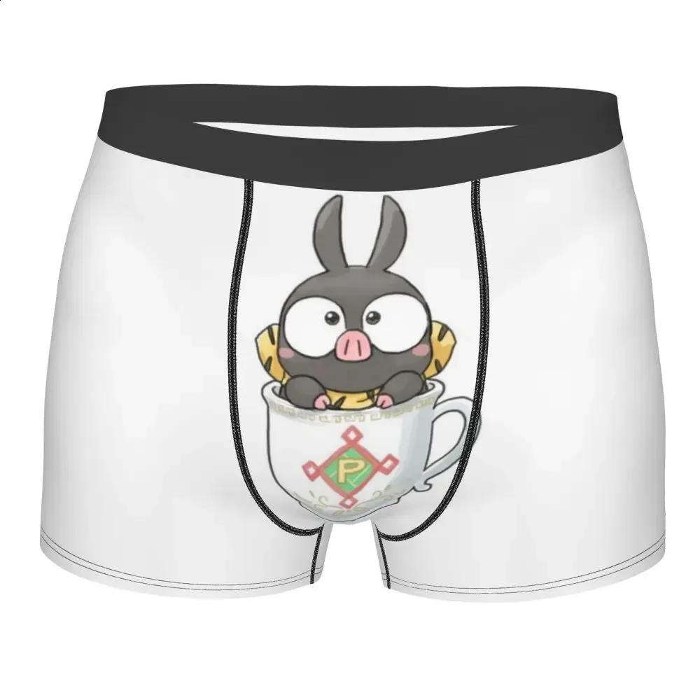 Boxer Underpants Shorts: Ranma 12 Saotome Pig Girls P Chan Panties ...