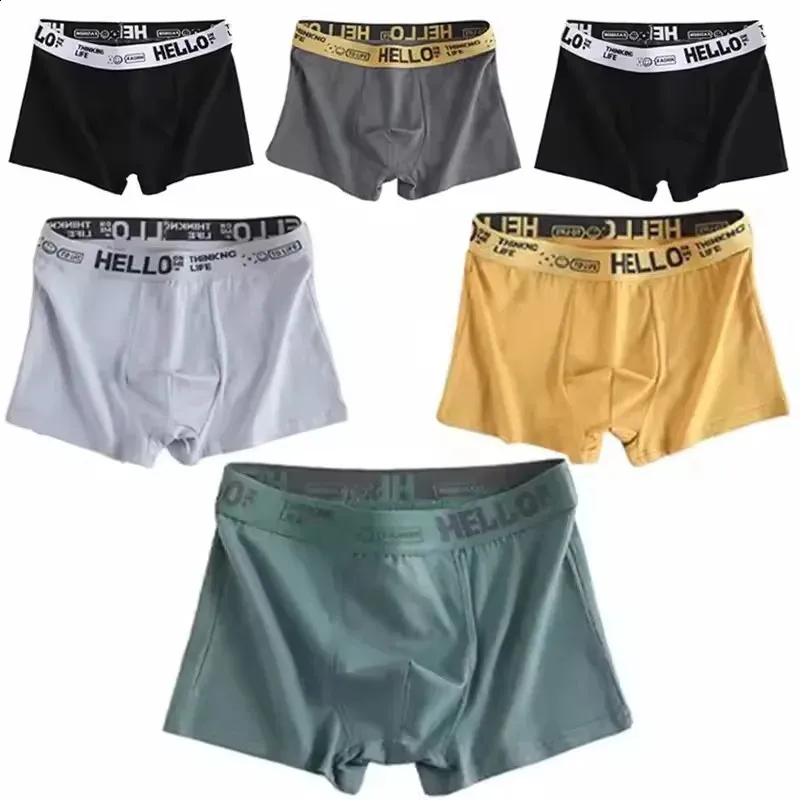 Men's Cotton Underwear, Breathable Boxer Briefs, Comfortable Soft Pure ...