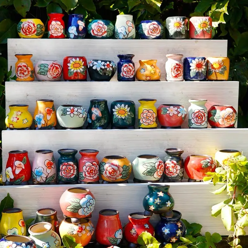 Ceramic Succulent Pots Cactus Flower Pot Planter For Indoor & Outdoor ...