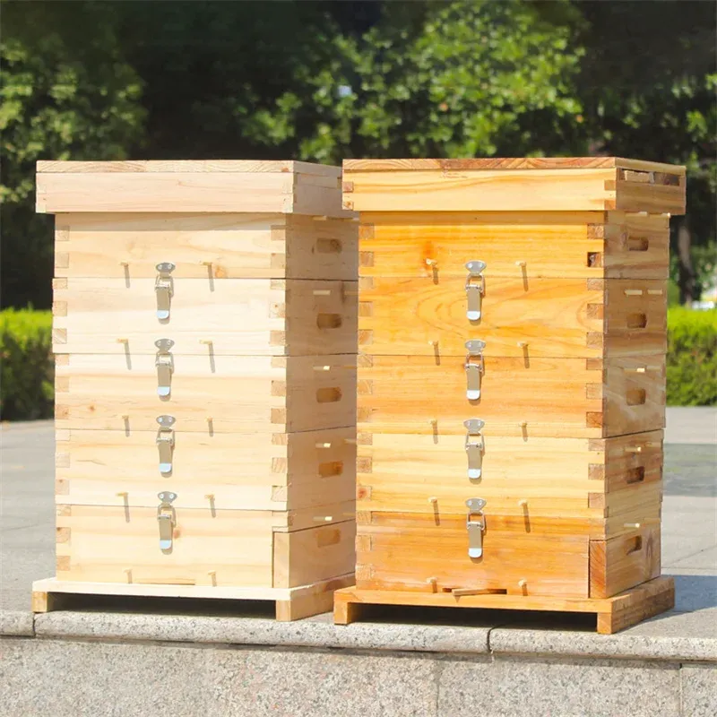 Premium Chinese Fir Lattice New Beehive Setup Wooden Bee Hive For Hotel ...
