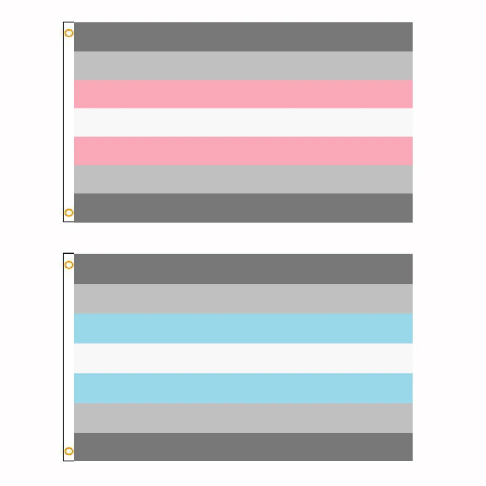 FLAGLINK Demiboy Pride Flag 3x5 Fts LGBTQIA Demi Man... From ...